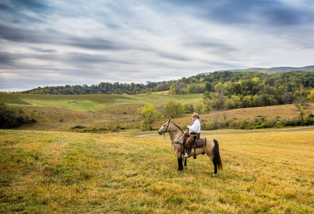 Shenandoah Valley Virginia Horse Trail Rides – North Mountain Outfitter ...