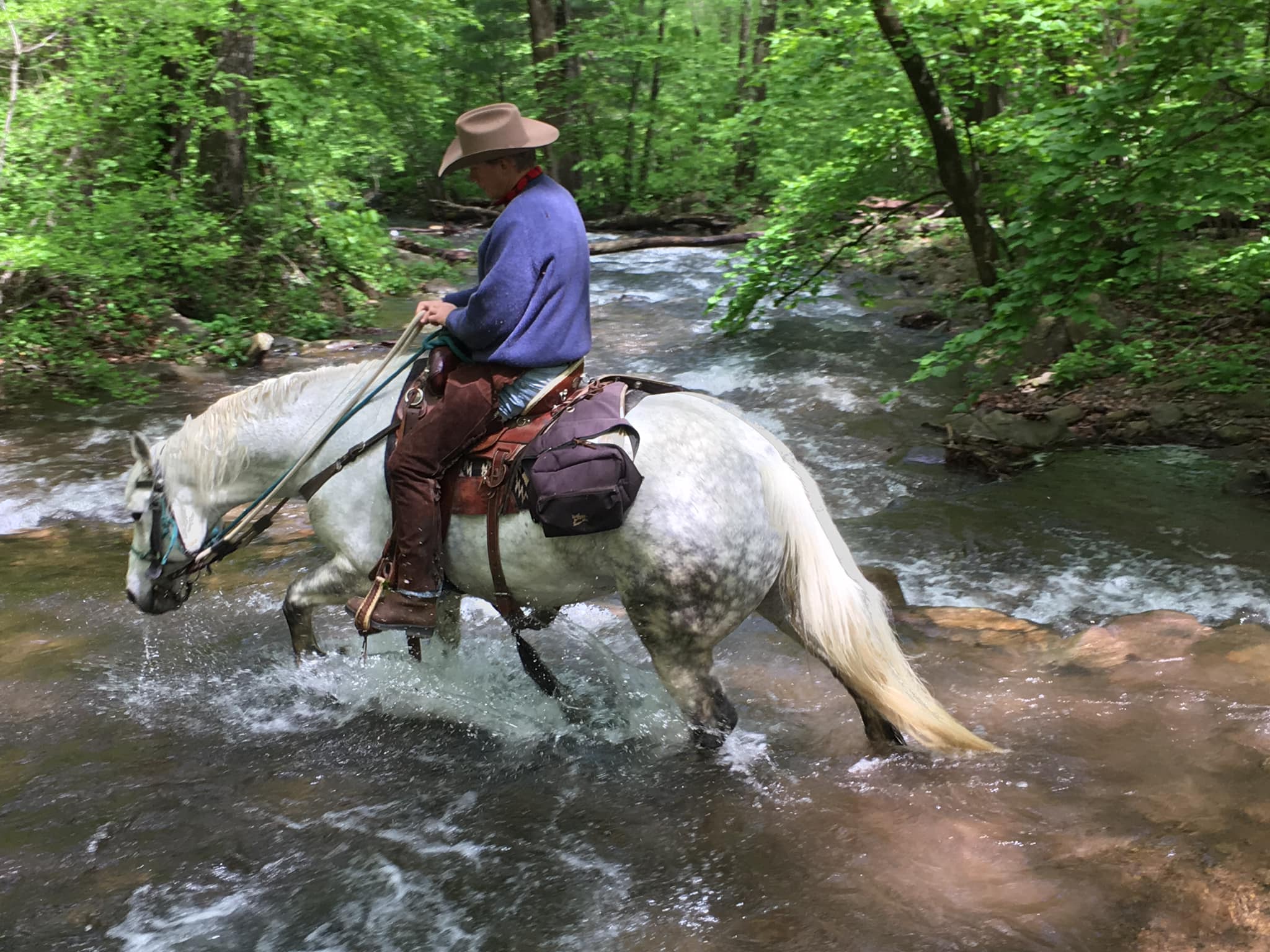 Shenandoah Valley Virginia Horse Trail Rides – North Mountain Outfitter ...